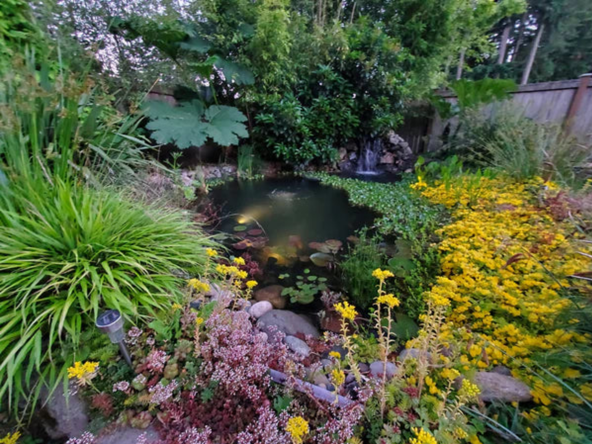 A Pond is Born - The Lessons I Wish I Knew Before I Started