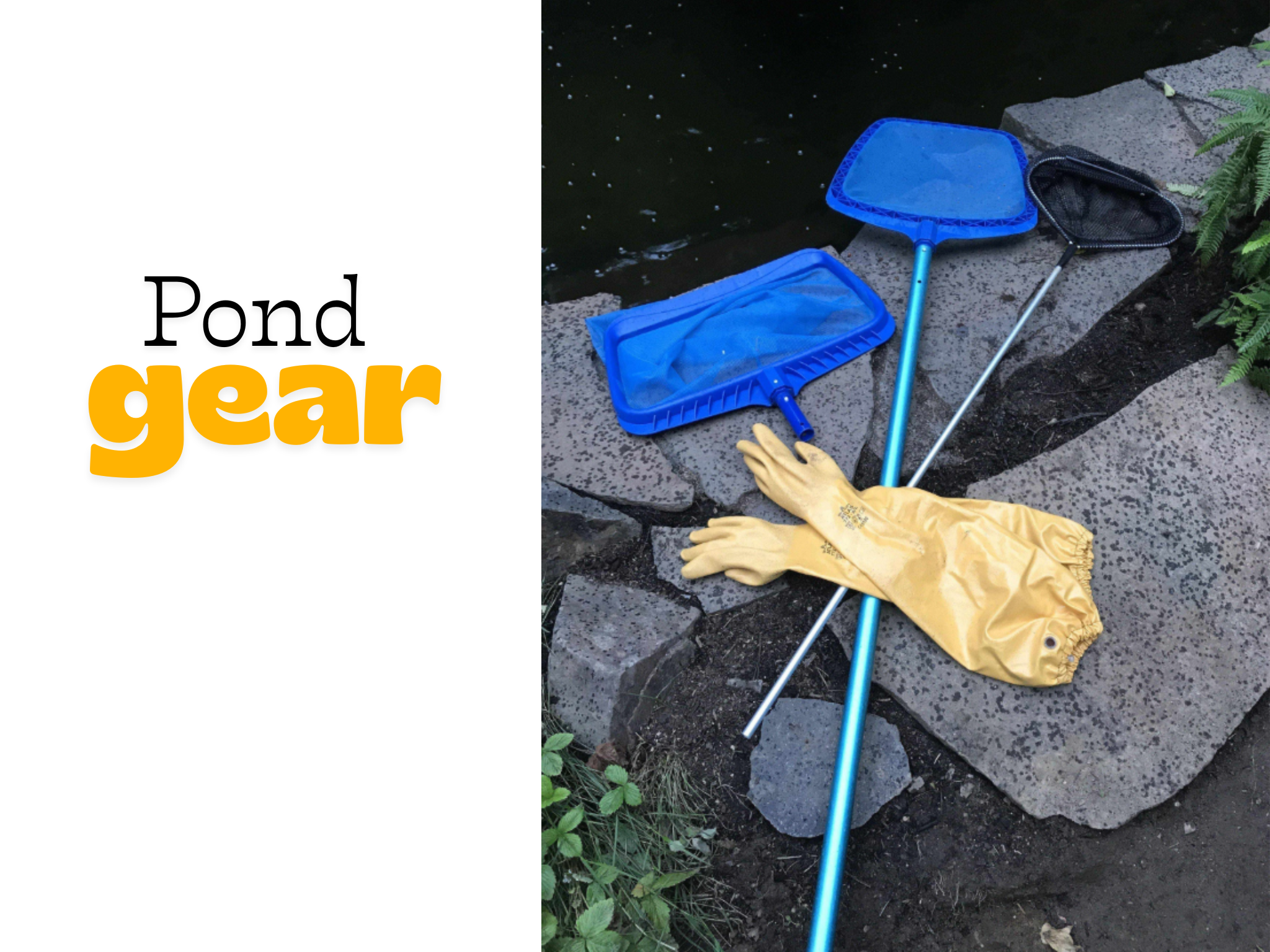 Building Your Koi Pond (DIY Guides & Best Practices)