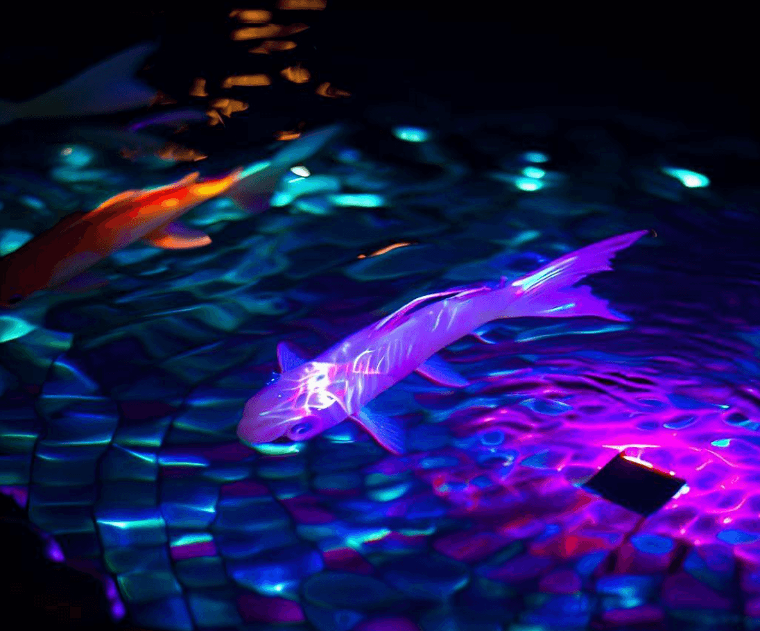 Color-Changing Pond Lights | Play It Koi