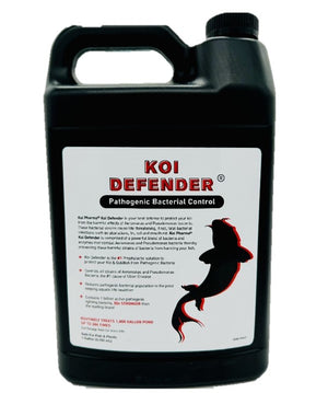 Play It Koi – Premium Pond Supplies | Expert Koi Care