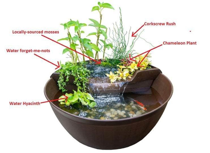 Aquascape AquaGarden Mini Pond Kit