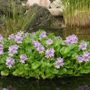 Nycon Floating Flora Island & Fish barrier