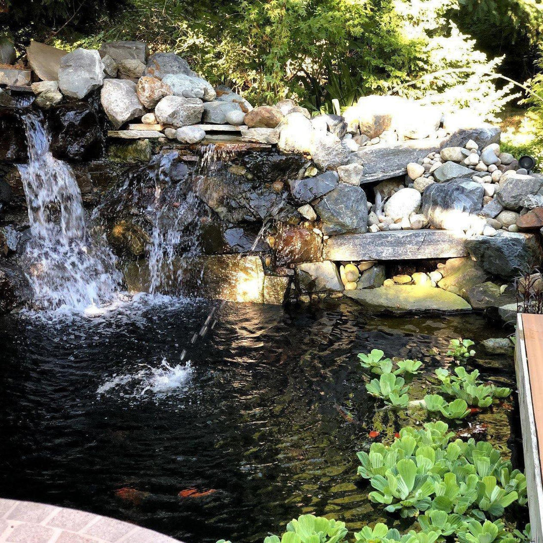 Nycon Floating Flora Island & Fish barrier