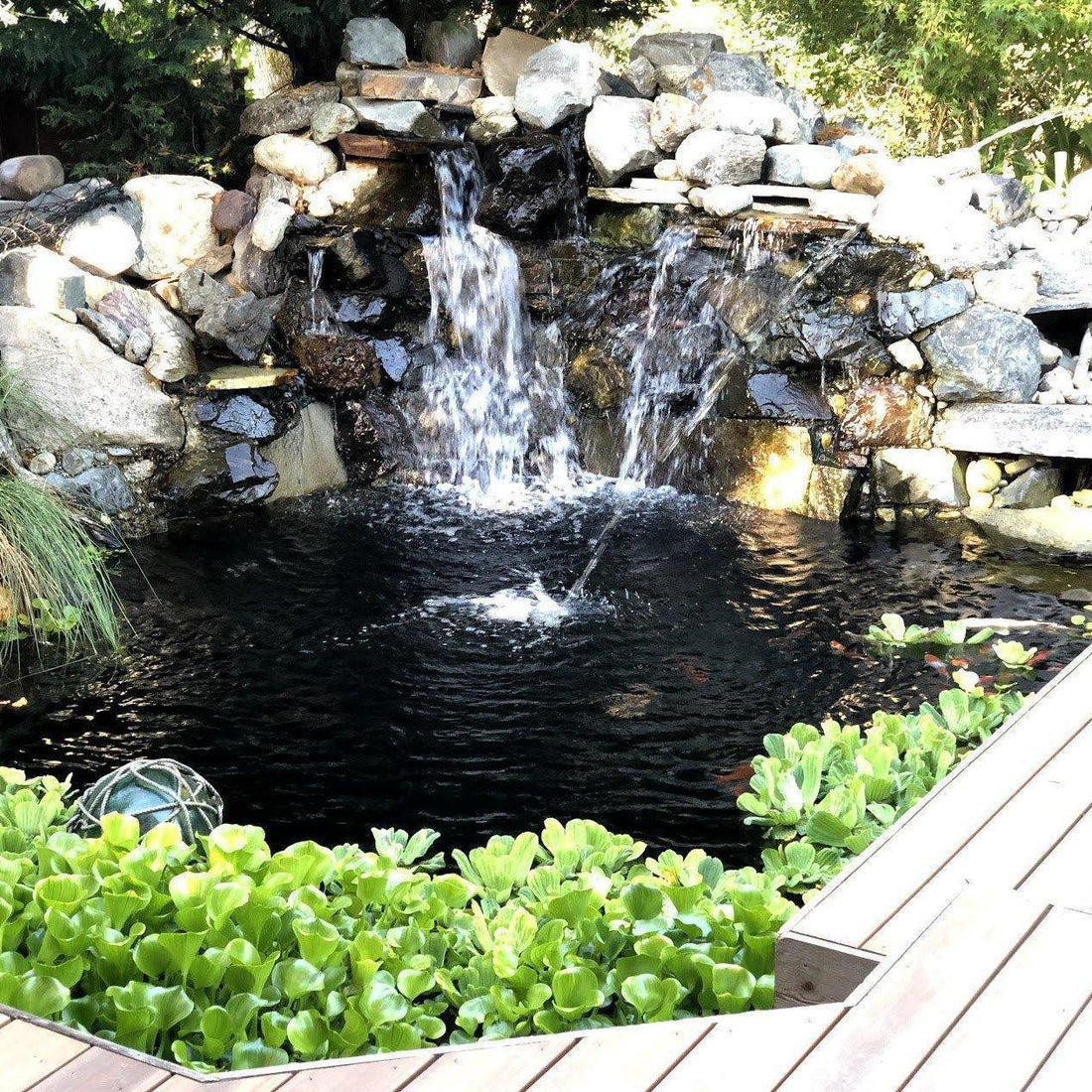 Nycon Floating Flora Island & Fish barrier