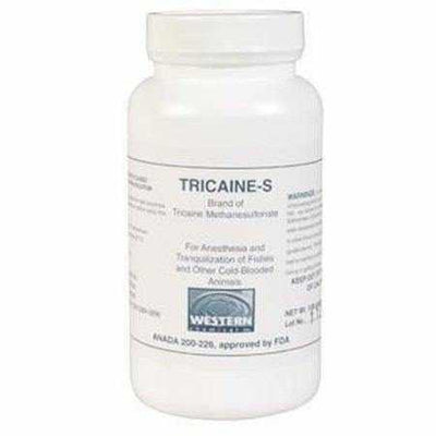 Syncaine (Tricaine-S) (MS 222) Fish Anesthetic